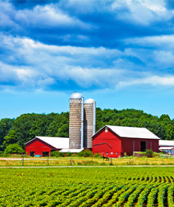 PROGRAMS + SERVICES - Farm Management Canada